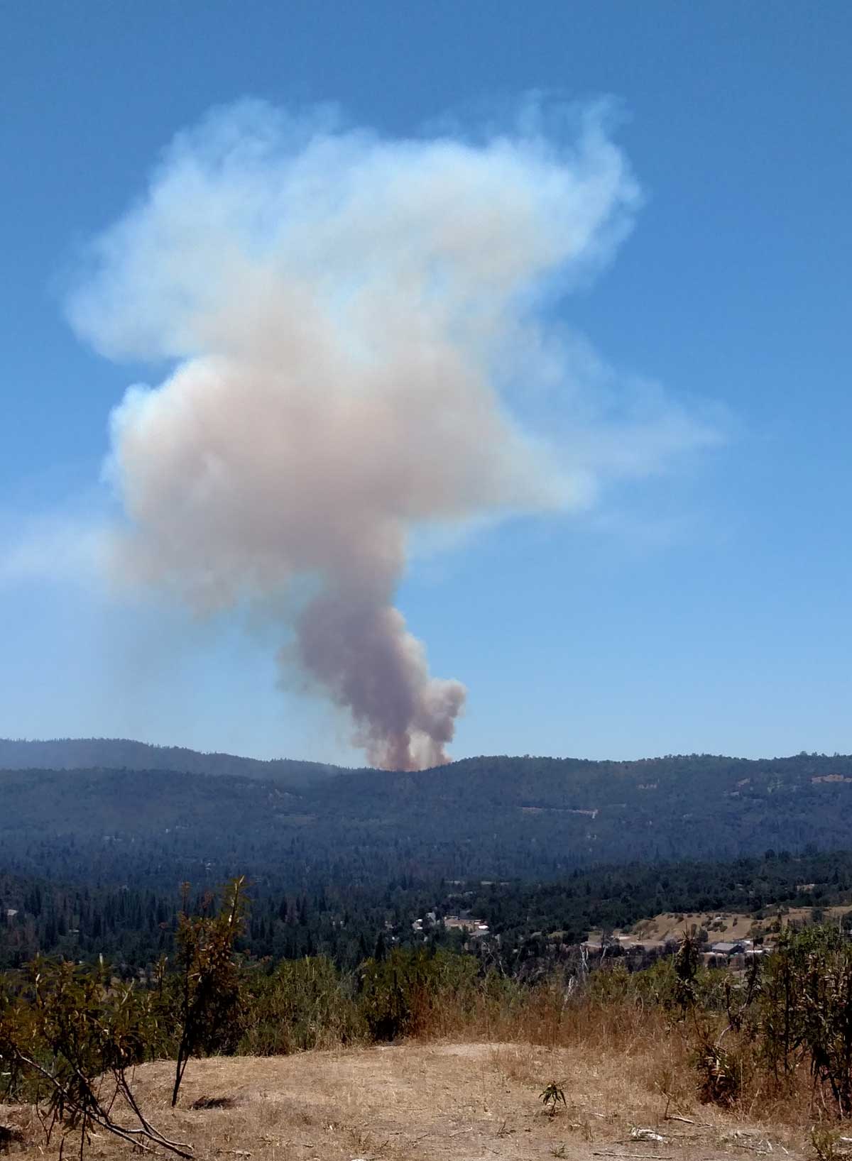 Serpa Fire Update * Bass Lake Realty